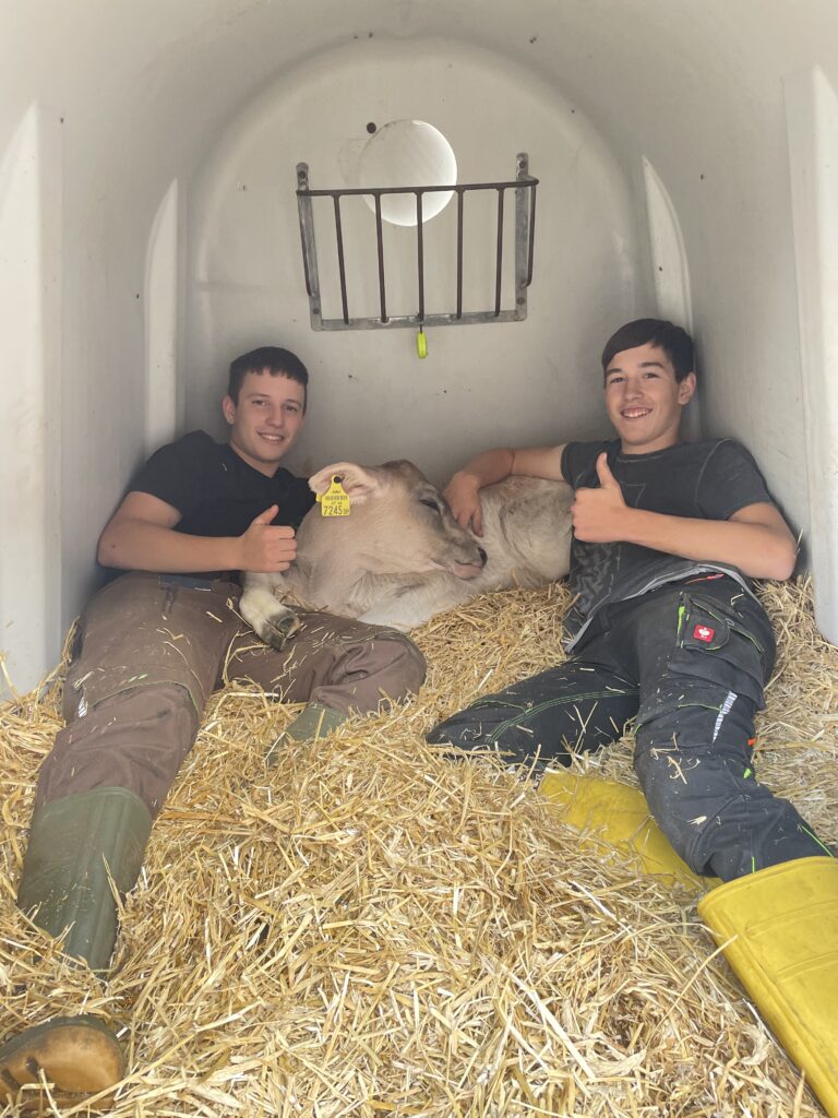 „Neues“ aus unserem Schulstall | LFS Pyhra