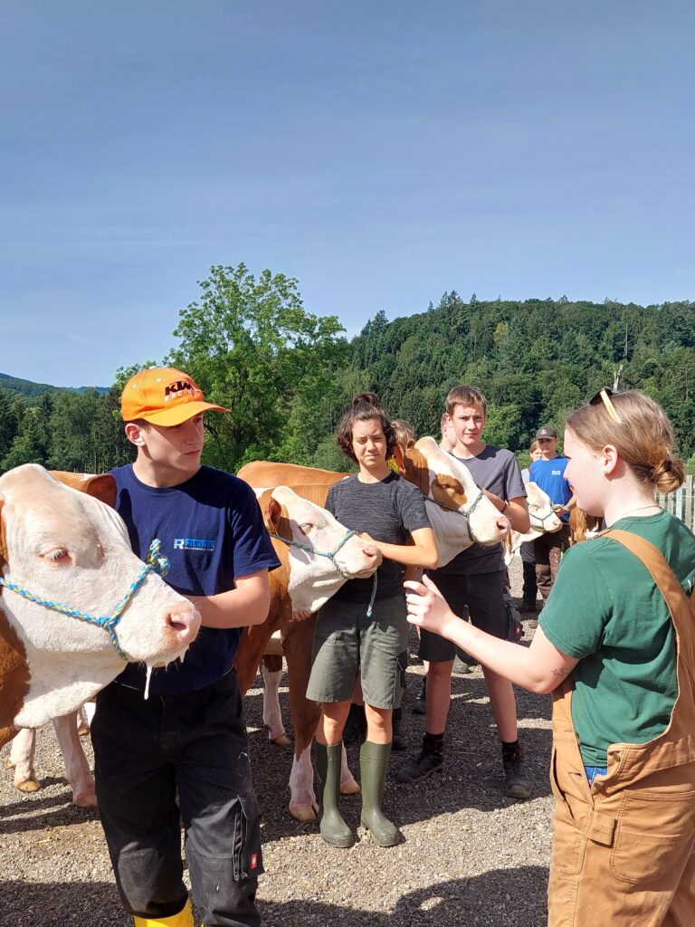 I-Kuh Workshop 2024 LFS Pyhra | LFS Pyhra